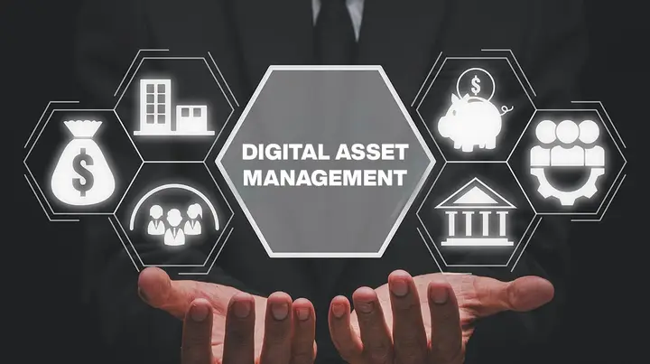 Why Digital Asset Management Is Essential for Modern Business Success ...