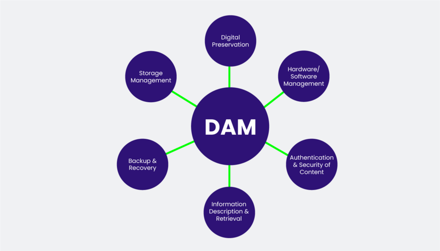 How to Implement a DAM System in Your Business - Best Dental Hospitals
